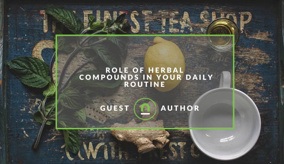 Role Of Herbal Compounds In Your Daily Routine - nichemarket