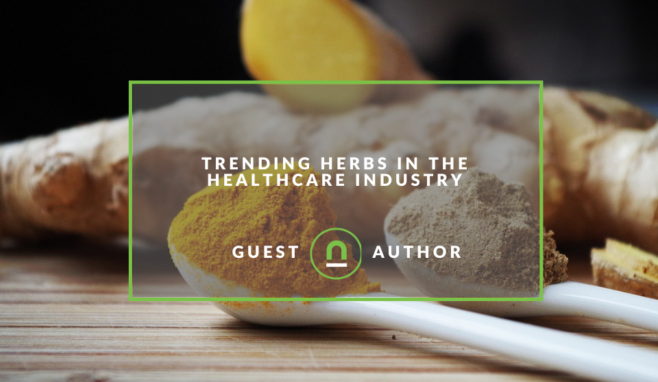 Trending Herbs In The Healthcare Industry - nichemarket