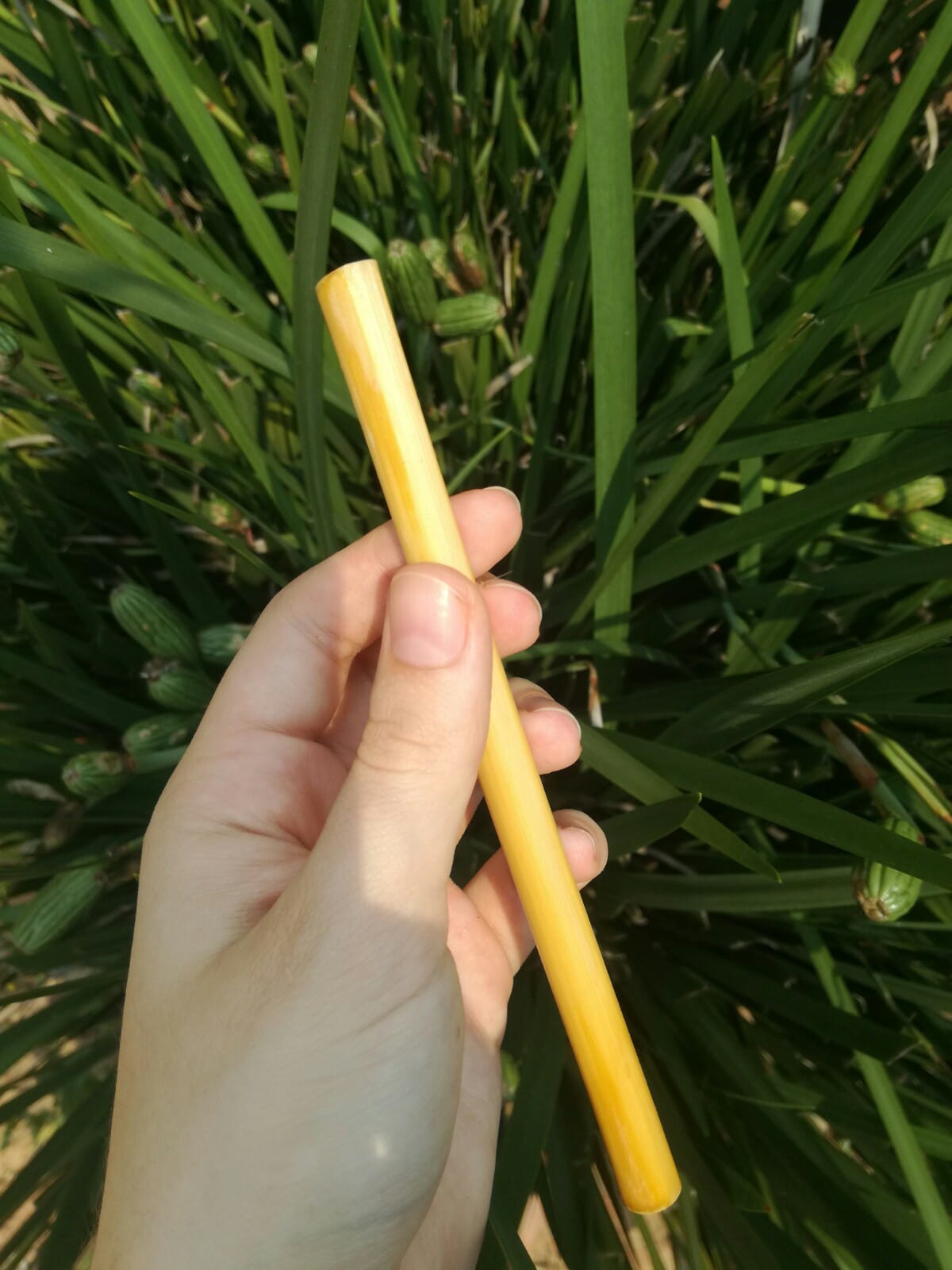 ECOSIP SA - nichemarket