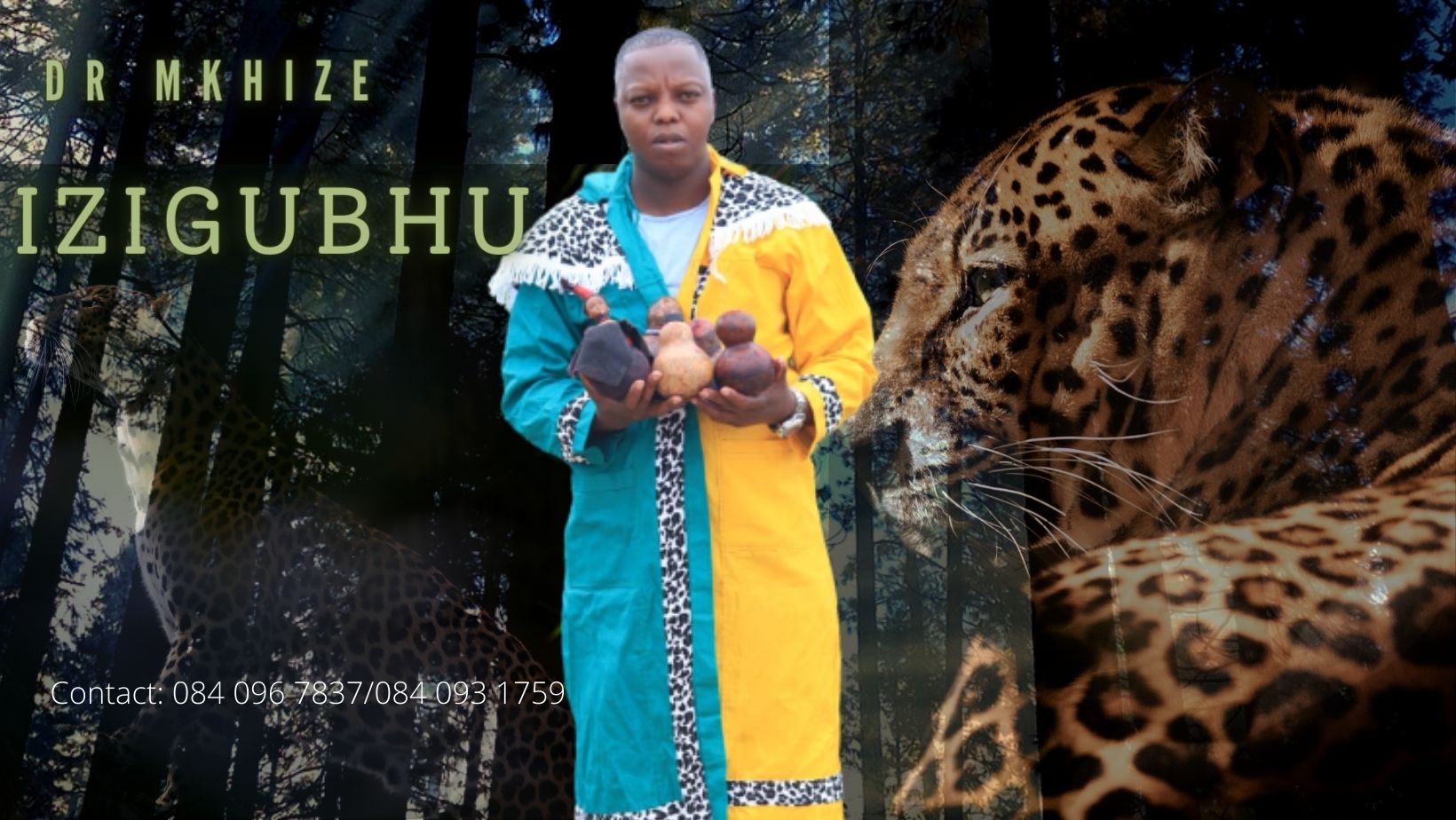 Dr mkhize-Impande yenhlanhla - nichemarket