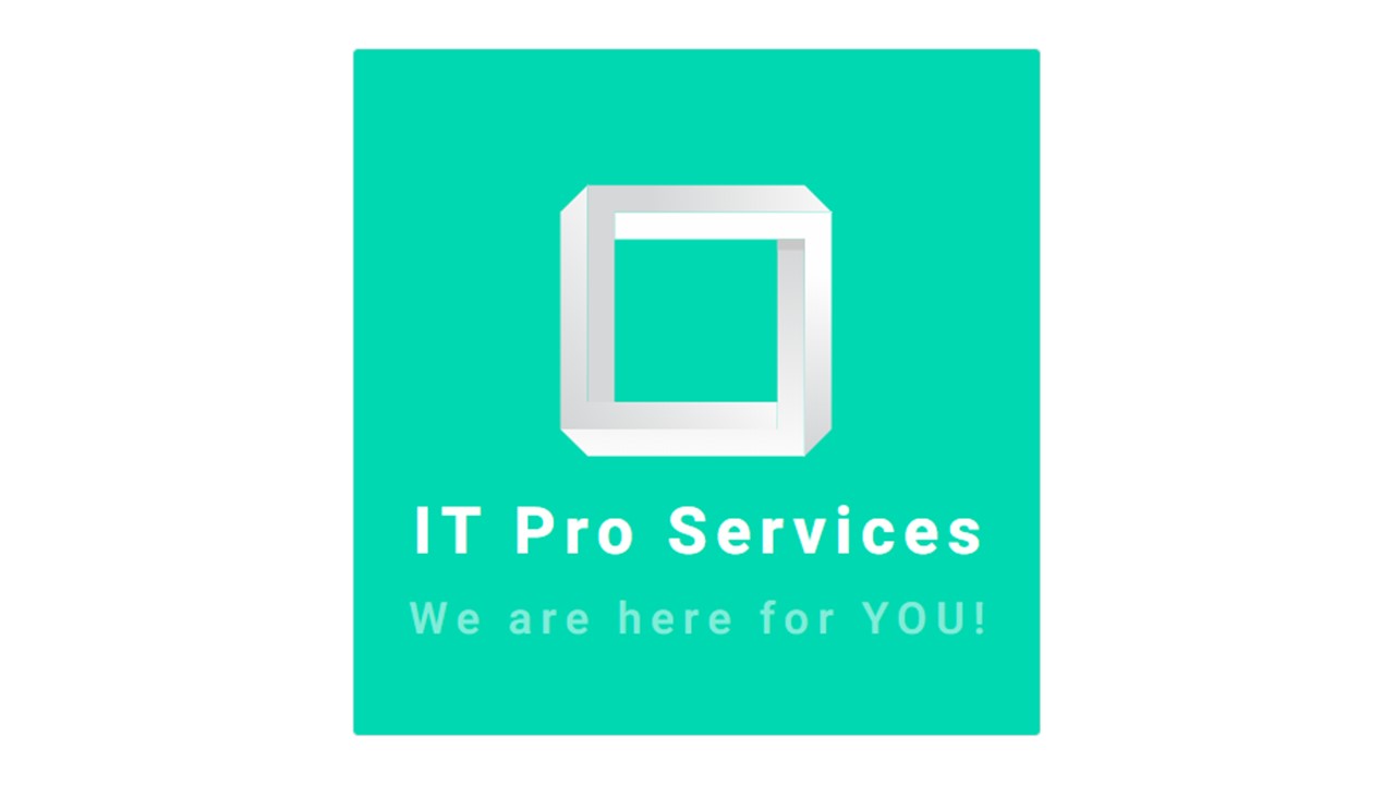 IT Pro Services - nichemarket
