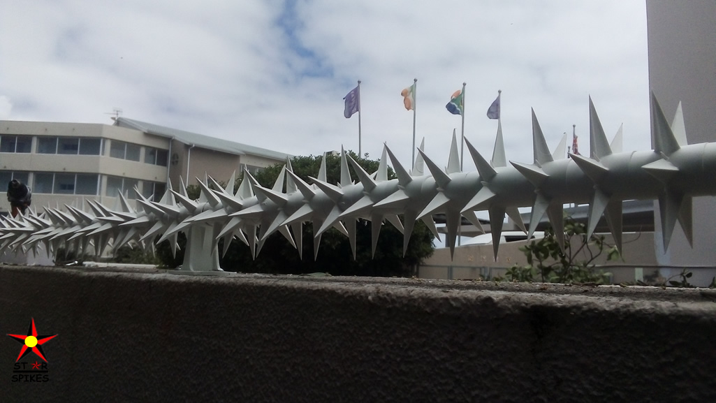 Star Security Spikes - nichemarket