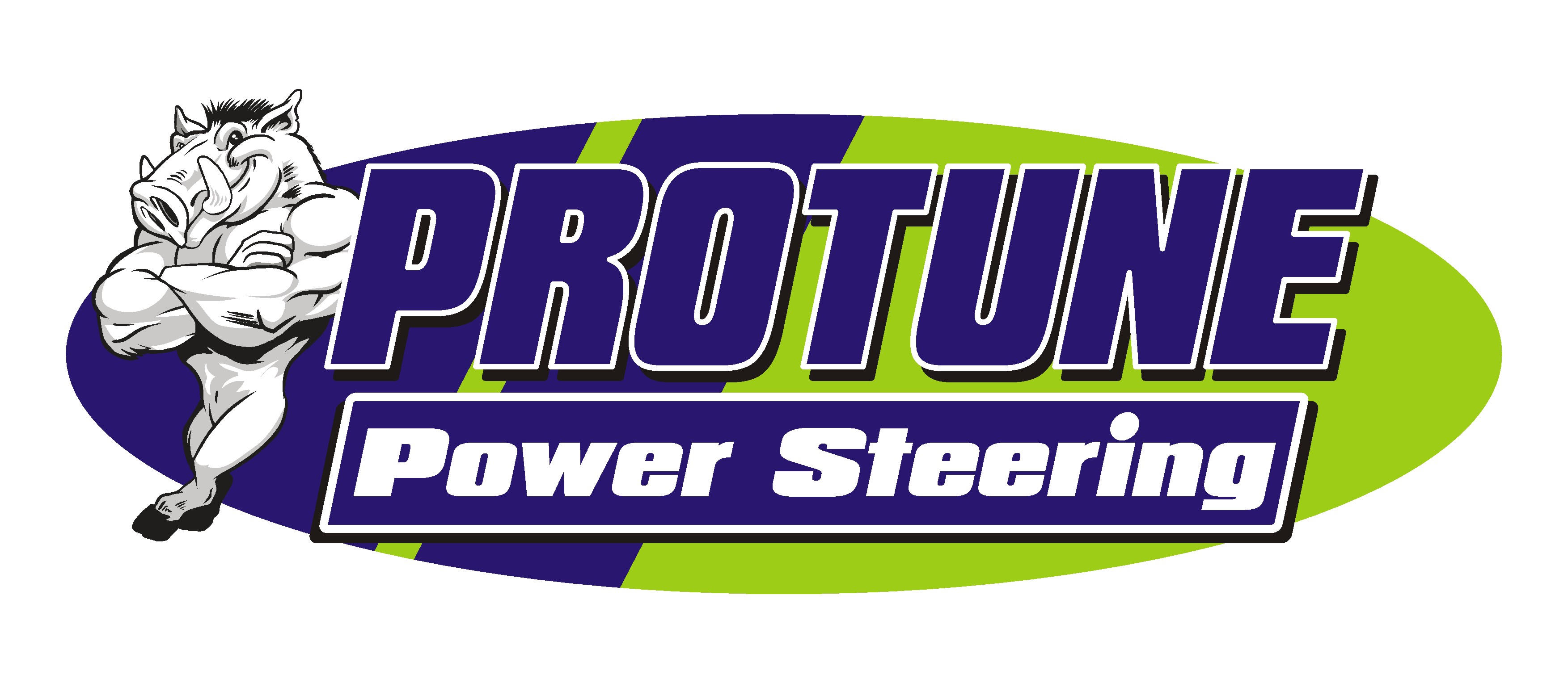 Protune Power Steering - nichemarket