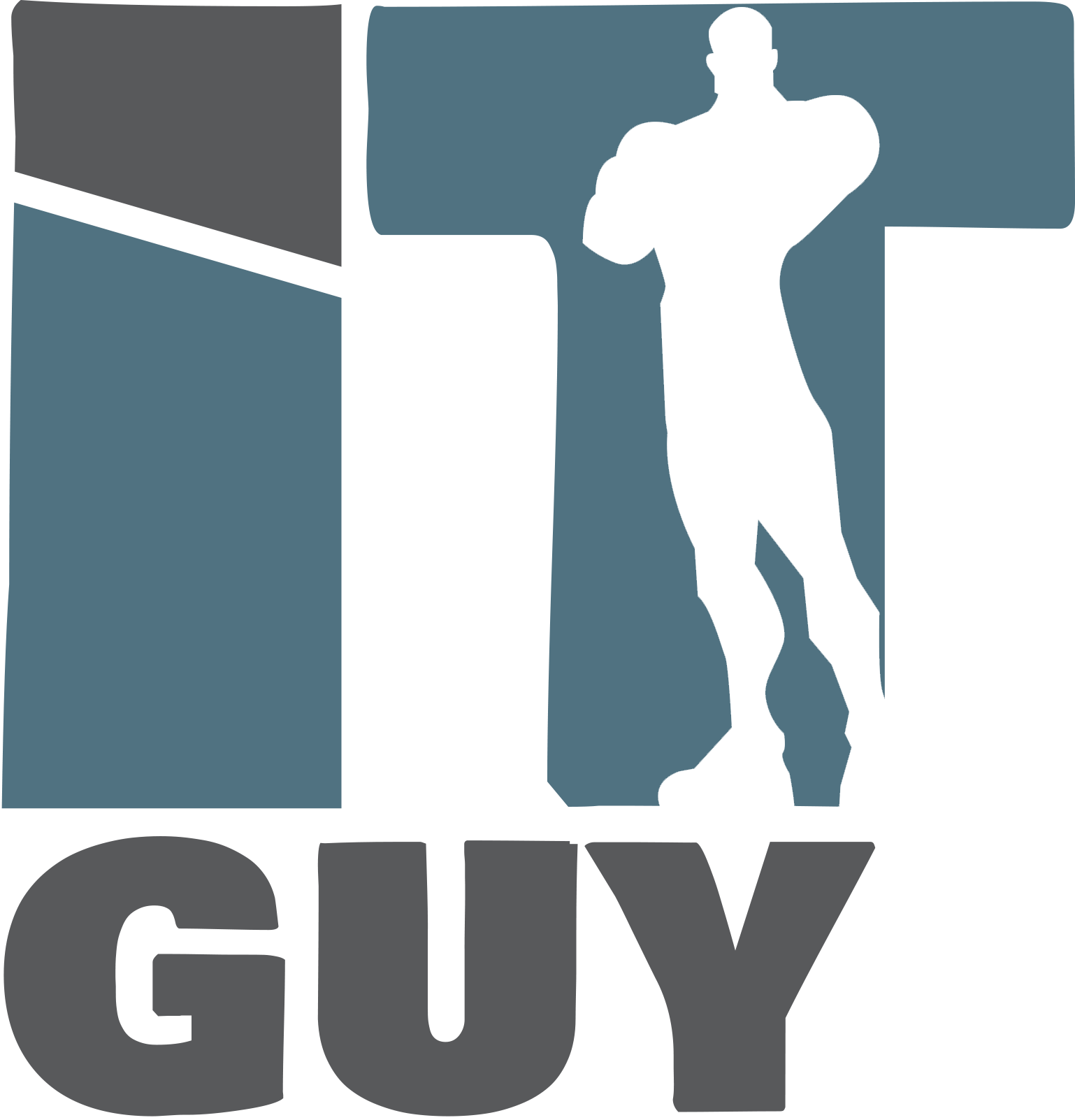 IT Guy - nichemarket