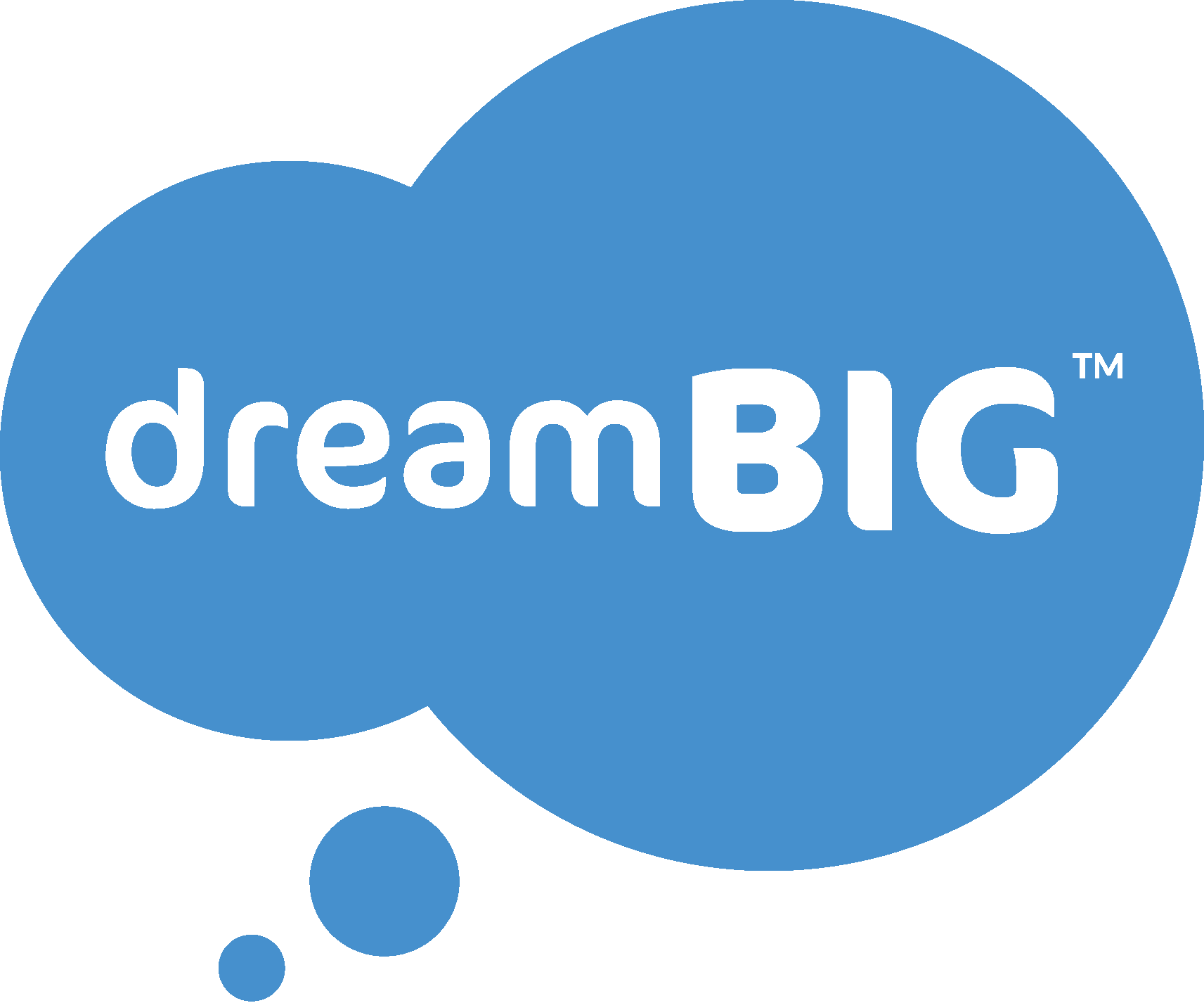 DreamBig Company - nichemarket