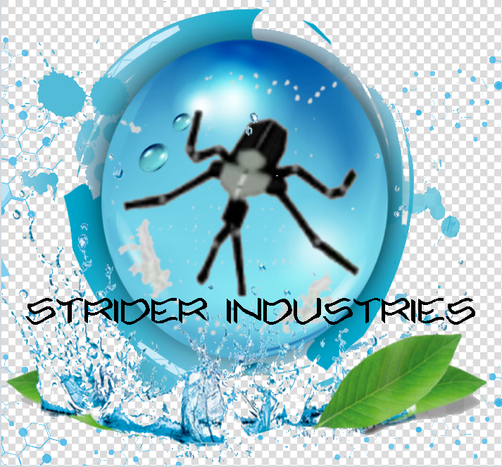 Strider Technology South Africa - nichemarket