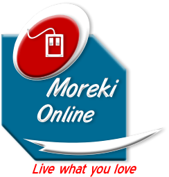 Moreki Online (PTY)LTD - nichemarket